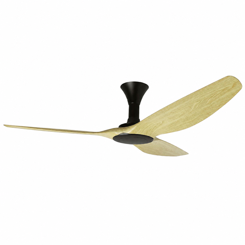 Low Ceiling Fan With Light | Luxury Modern Point One Typhoon